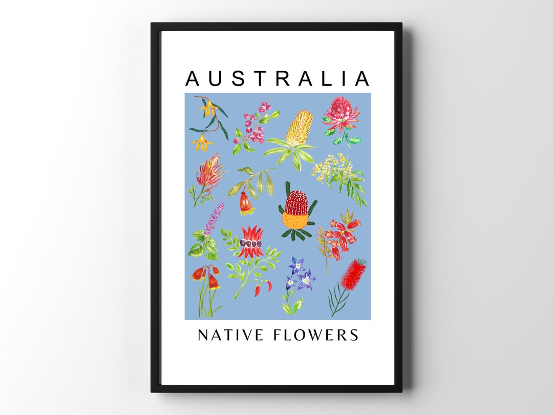 Australia Native Flowers Print Native Flowers of Australia Wall Art ...