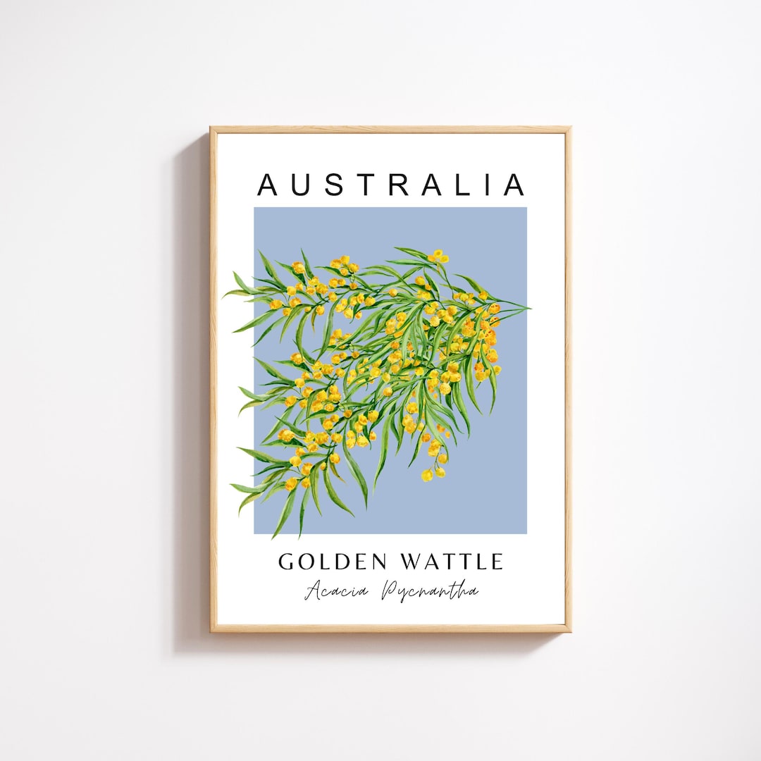 Australian Golden Wattle Wall Art Print, Australian Native, Flora of ...
