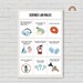 Science Classroom Decor for Middle School and High School - STEM ...