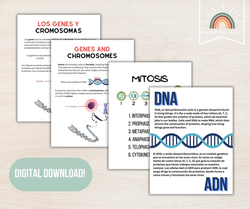 Bilingual Classroom Decor Bundle, Science Wall Art Posters/info ...