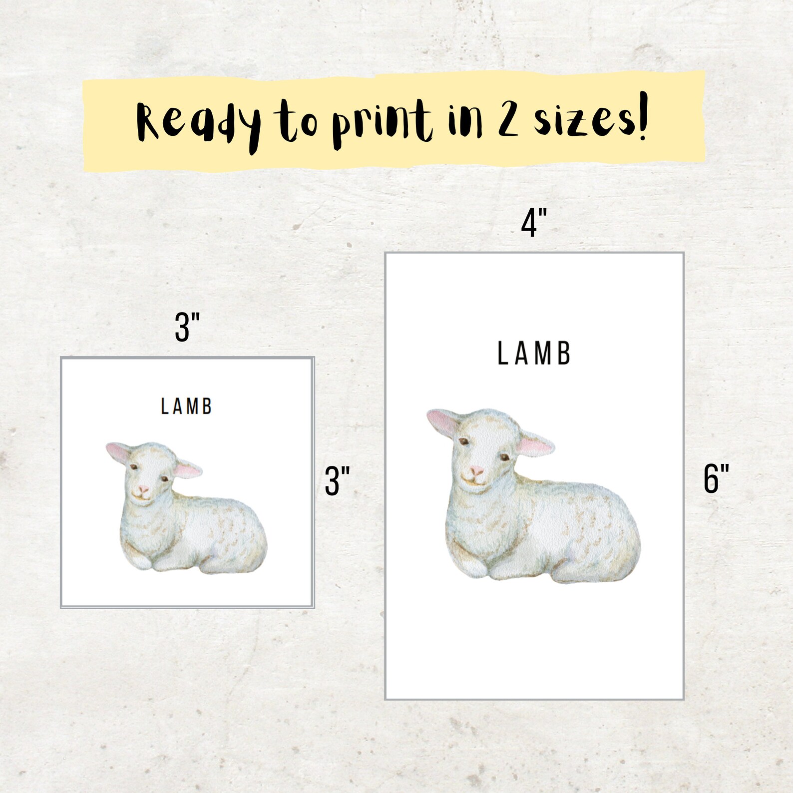Printable Spring Vocabulary Flashcards, Montessori Education Activities ...