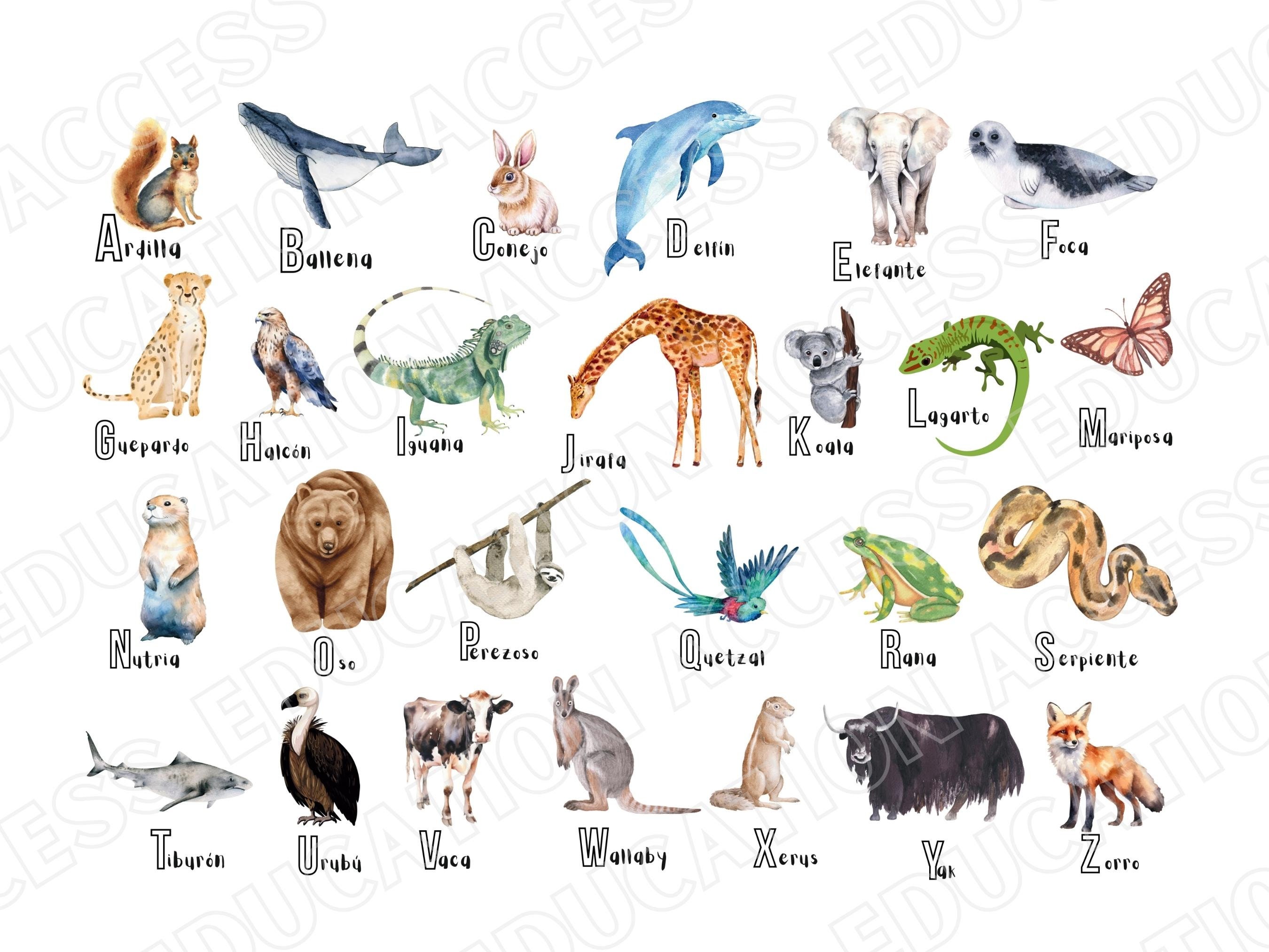 Kids Wall Art, Animal Alphabet Poster in Spanish, Tabla Del Alfabeto ...