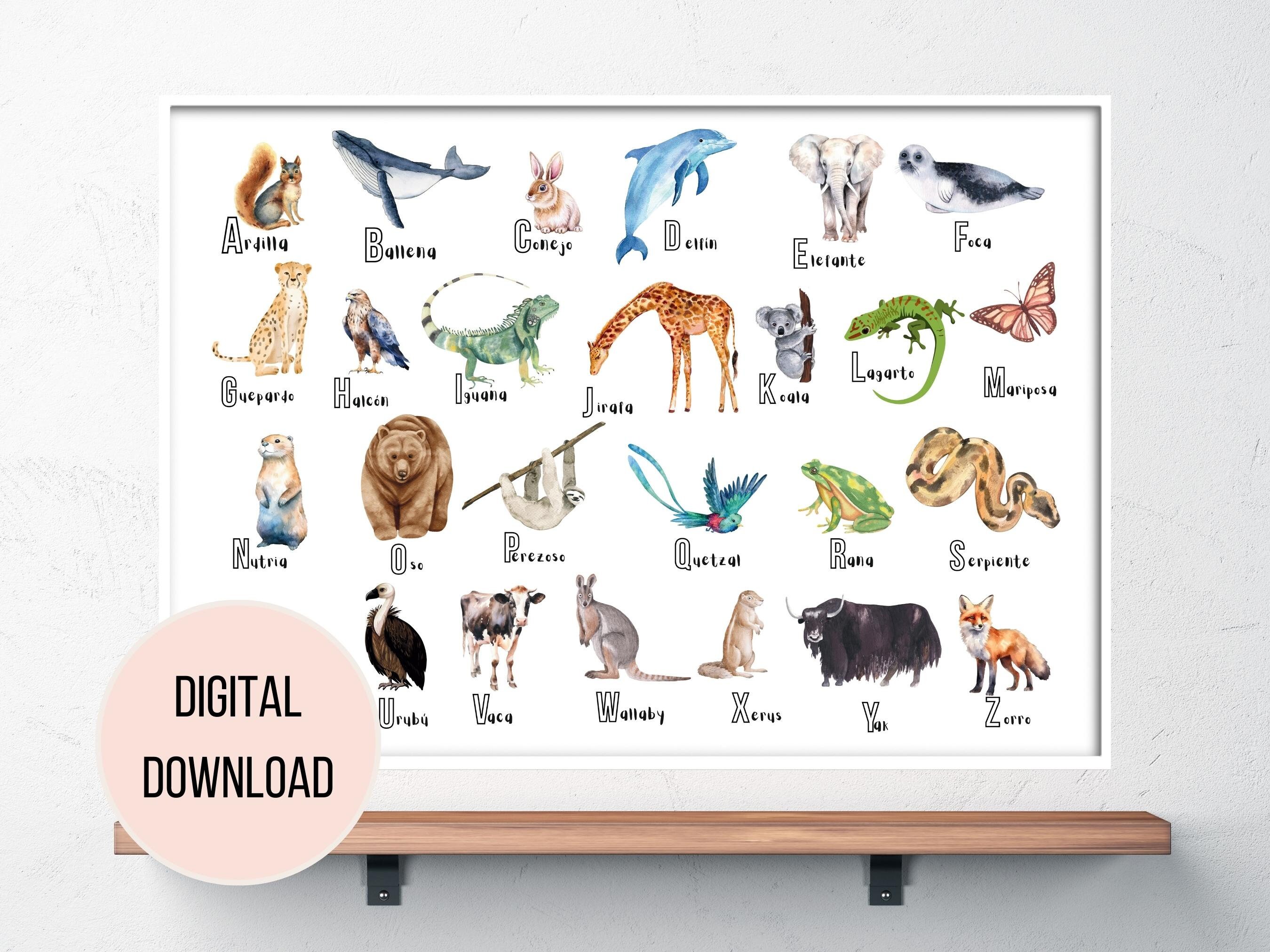Kids Wall Art, Animal Alphabet Poster in Spanish, Tabla Del Alfabeto ...