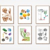 Science Classroom Decor for Middle School and High School STEM ...