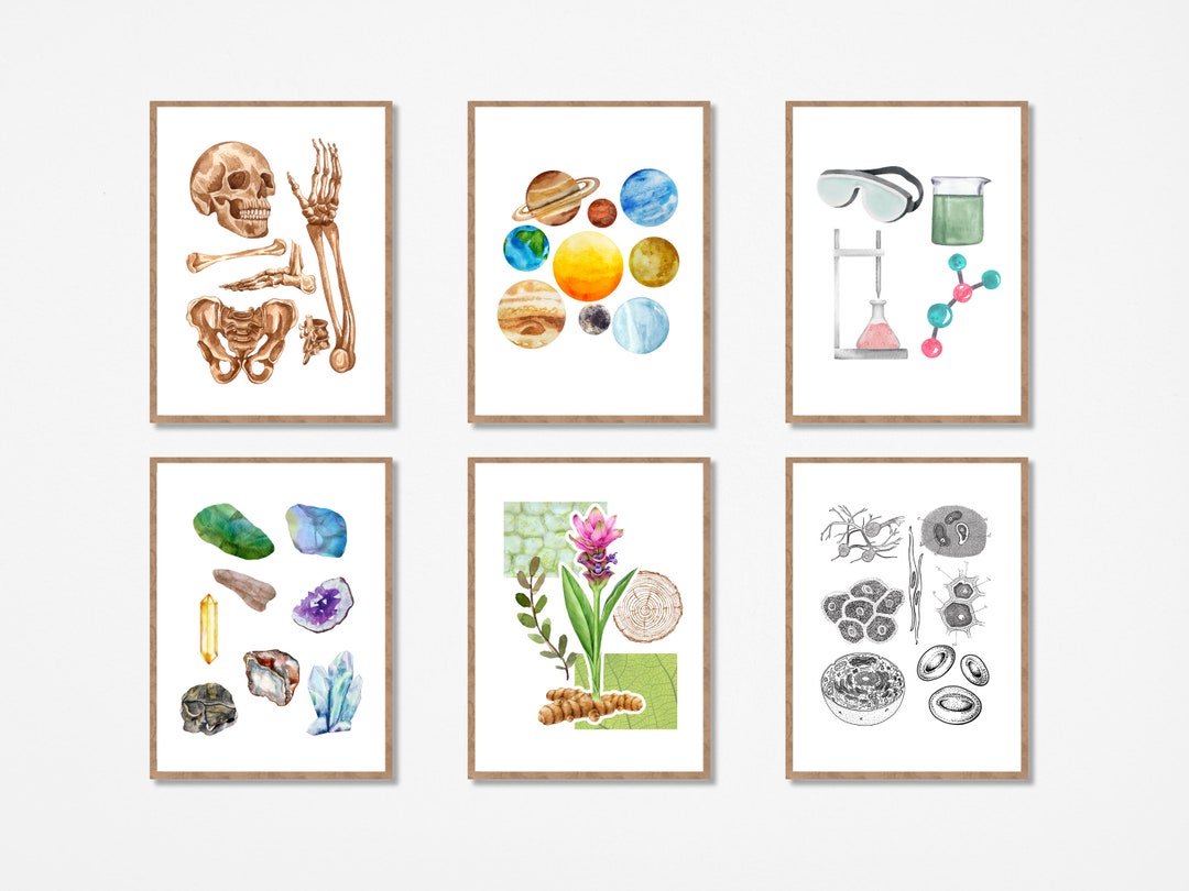 Fun Science Classroom Bundle - Printable Wall Decor, Biology, Chemistry ...