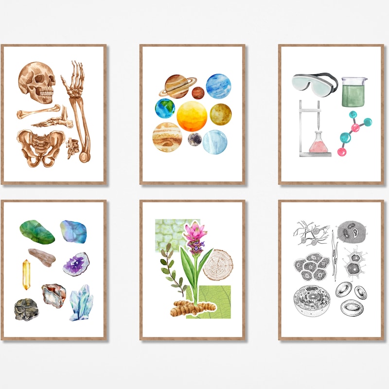 Science Wall Decor - Etsy