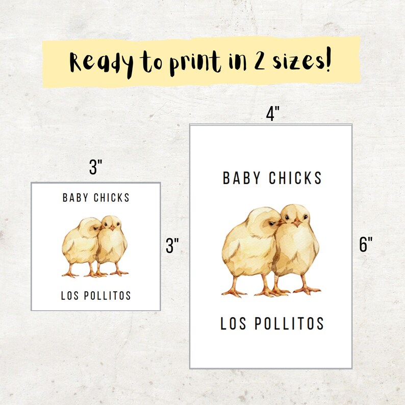 Spanish/english Printable Spring Vocabulary Flashcards, Montessori ...