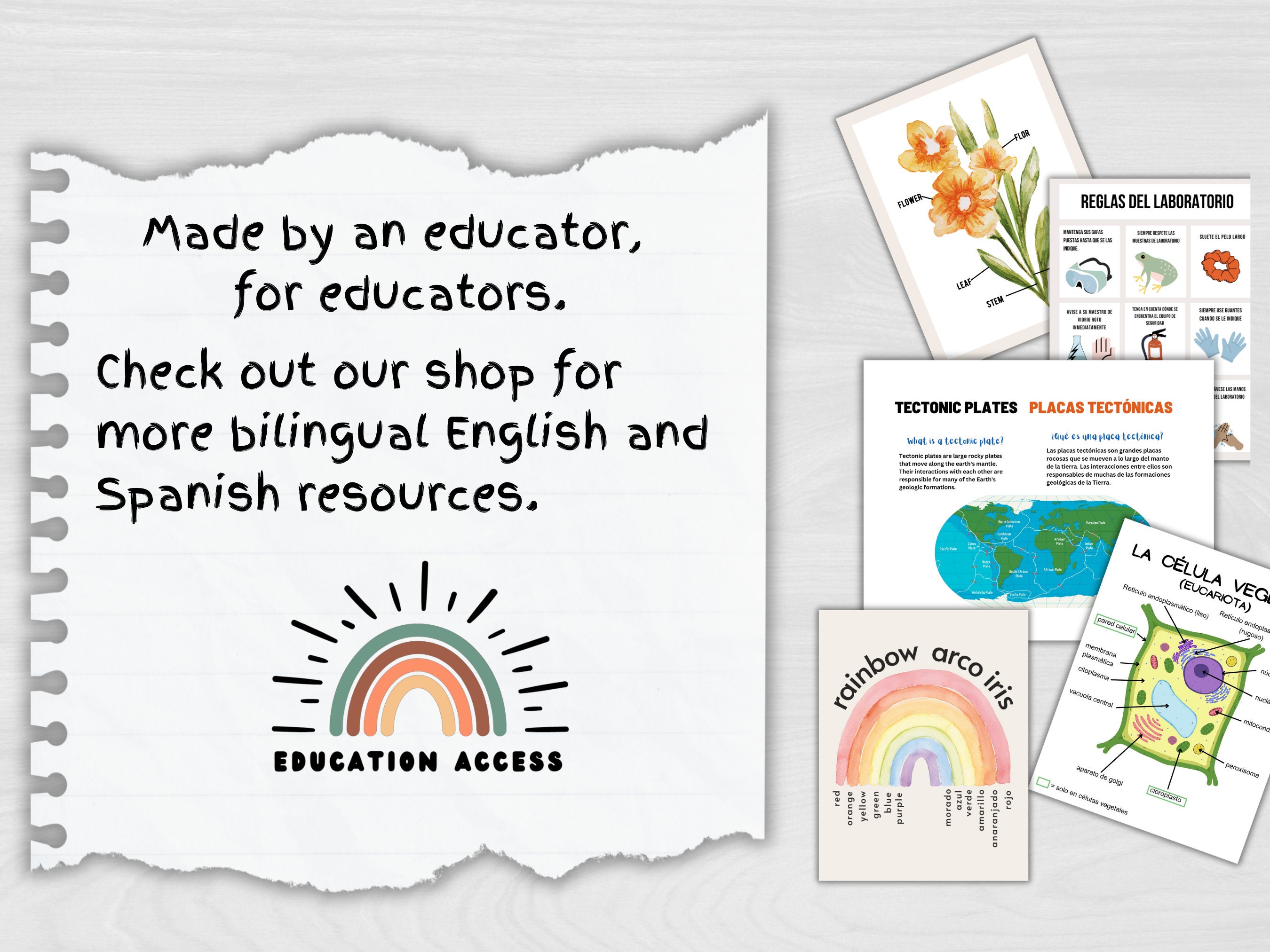 Spanish/english Printable Spring Vocabulary Flashcards, Montessori ...