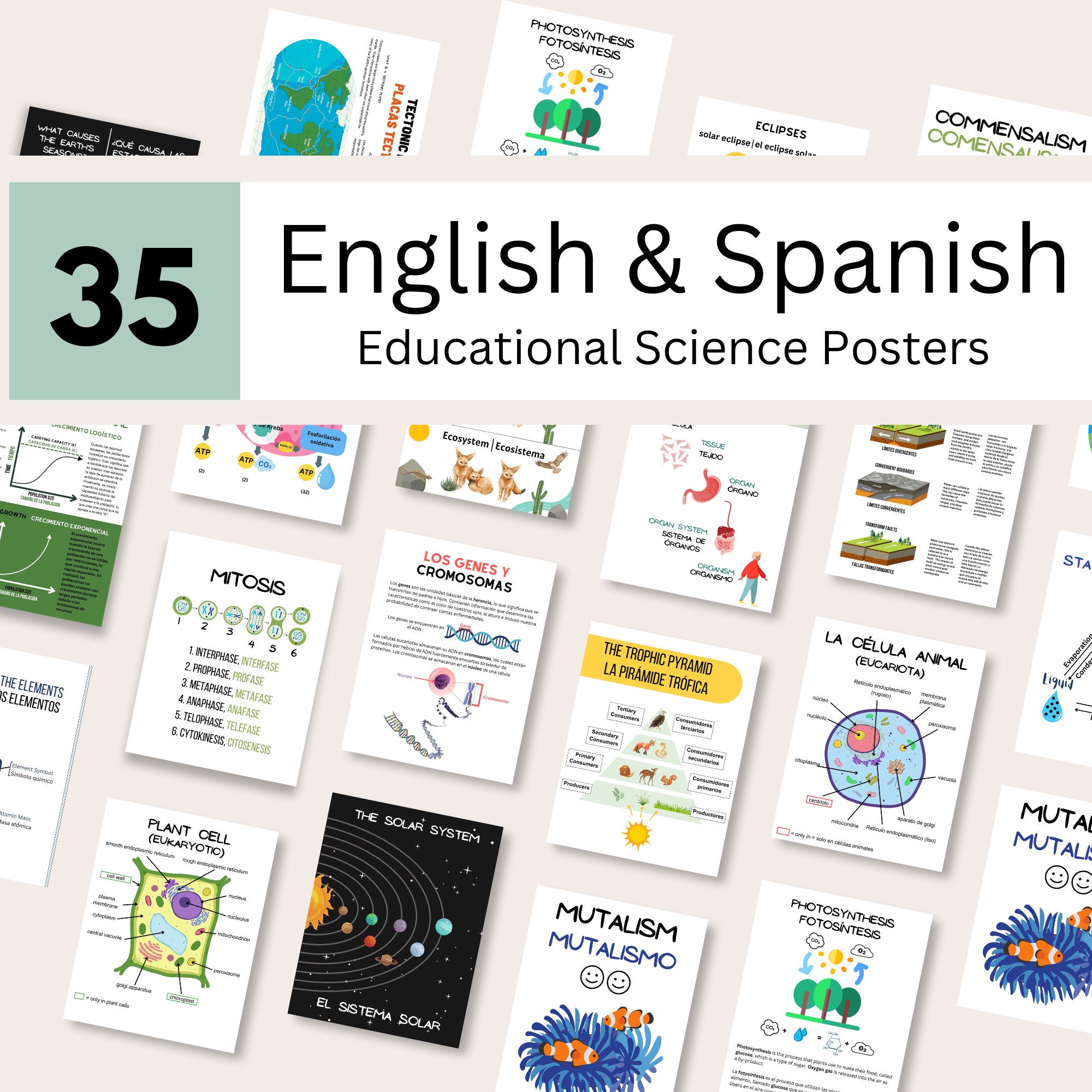 Bilingual Classroom Decor Bundle, Science Wall Art Posters/info ...