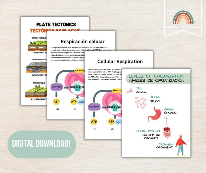 Bilingual Classroom Decor Bundle, Science Wall Art Posters/info ...