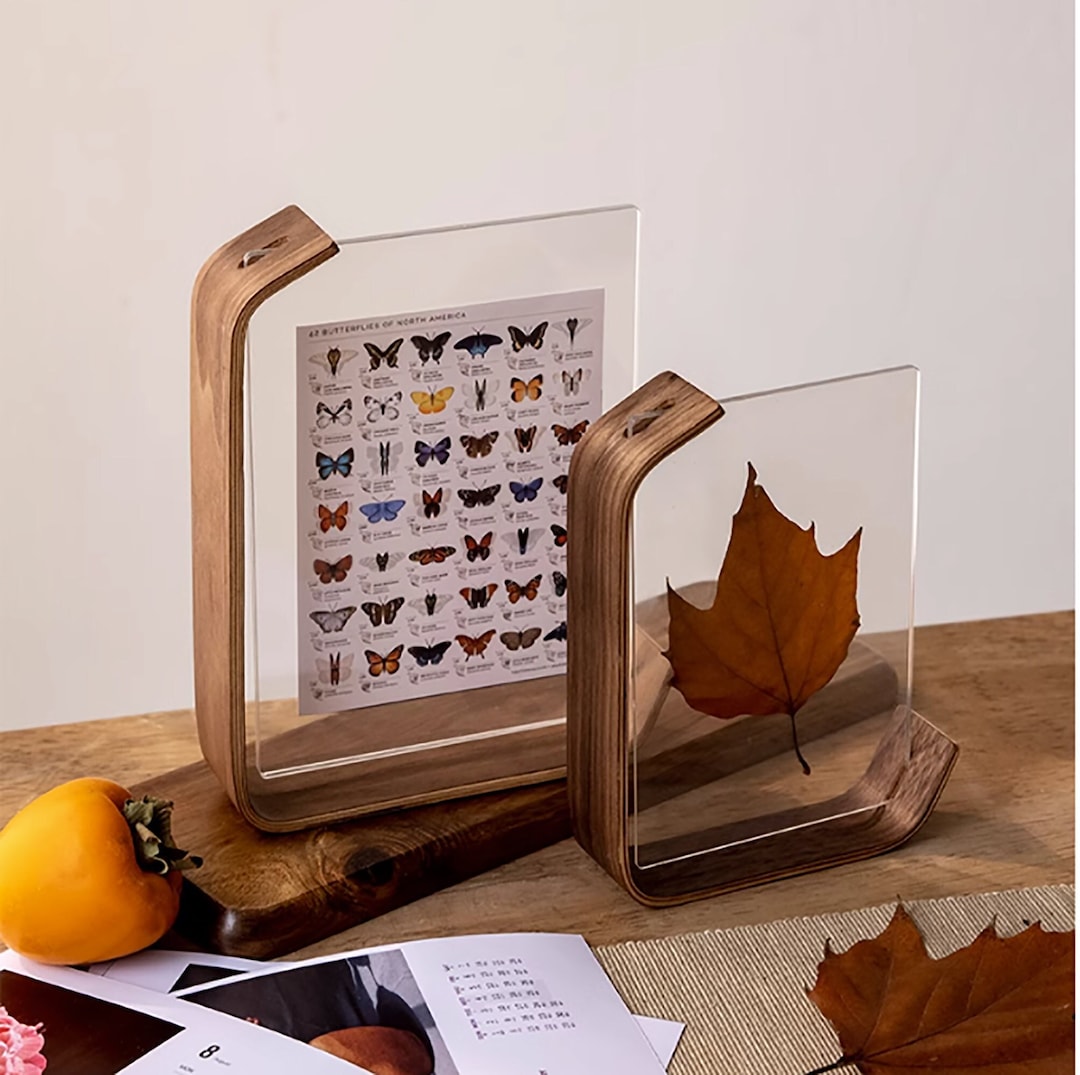 Leaf Specimen Storage Photo Framebutterfly Specimen Atlas - Etsy