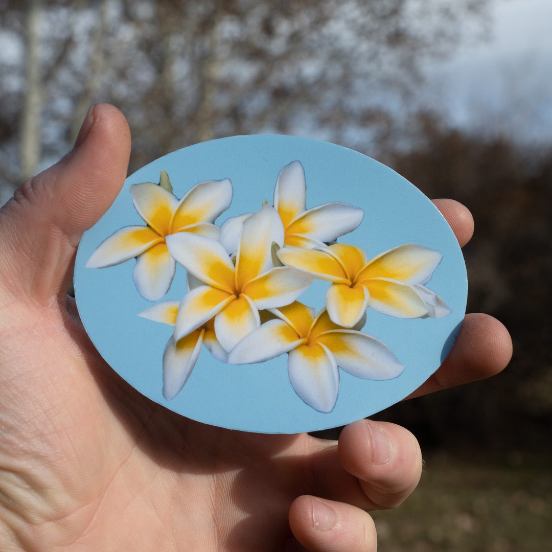 Plumeria Group Flower Sticker, Real Photo, Water Resistant, Gift for ...