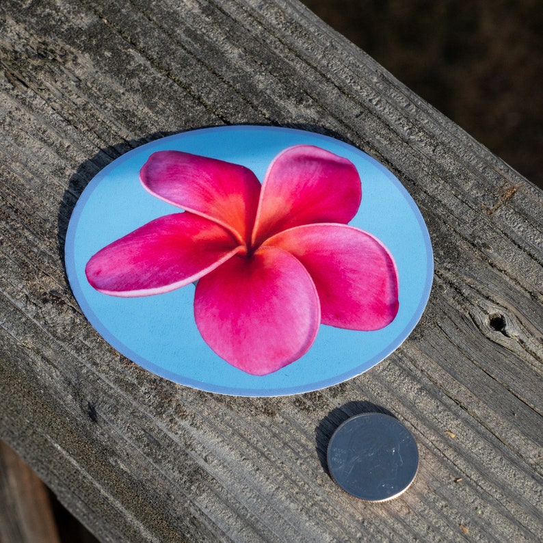 Plumeria Flower Stickers, Real Photo, Waterproof, Gift for Gardeners ...