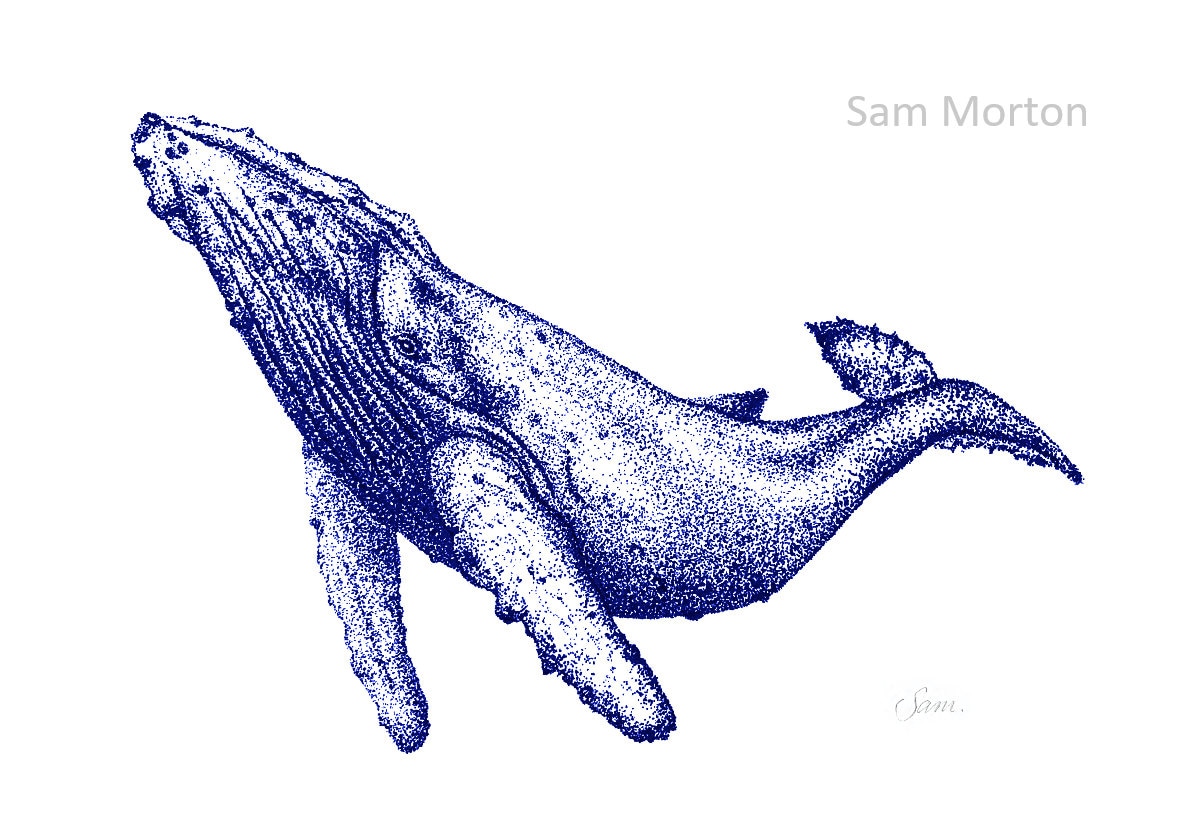 Humpback Whale A5 Art Print / Wallart on 250gsm Paper - Etsy