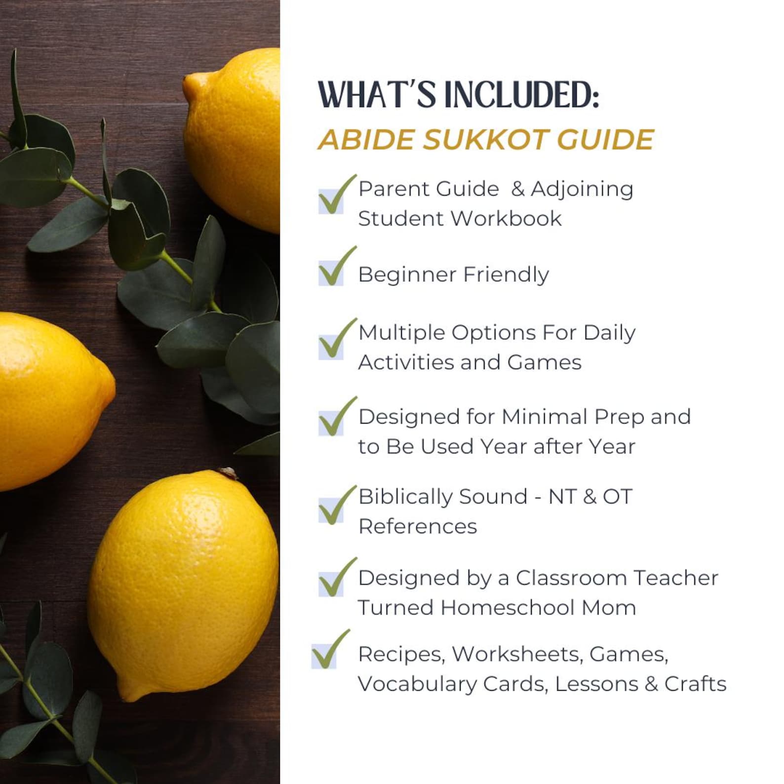 Sukkot Activity Pack: Christian Family Study Guide (digital Download ...