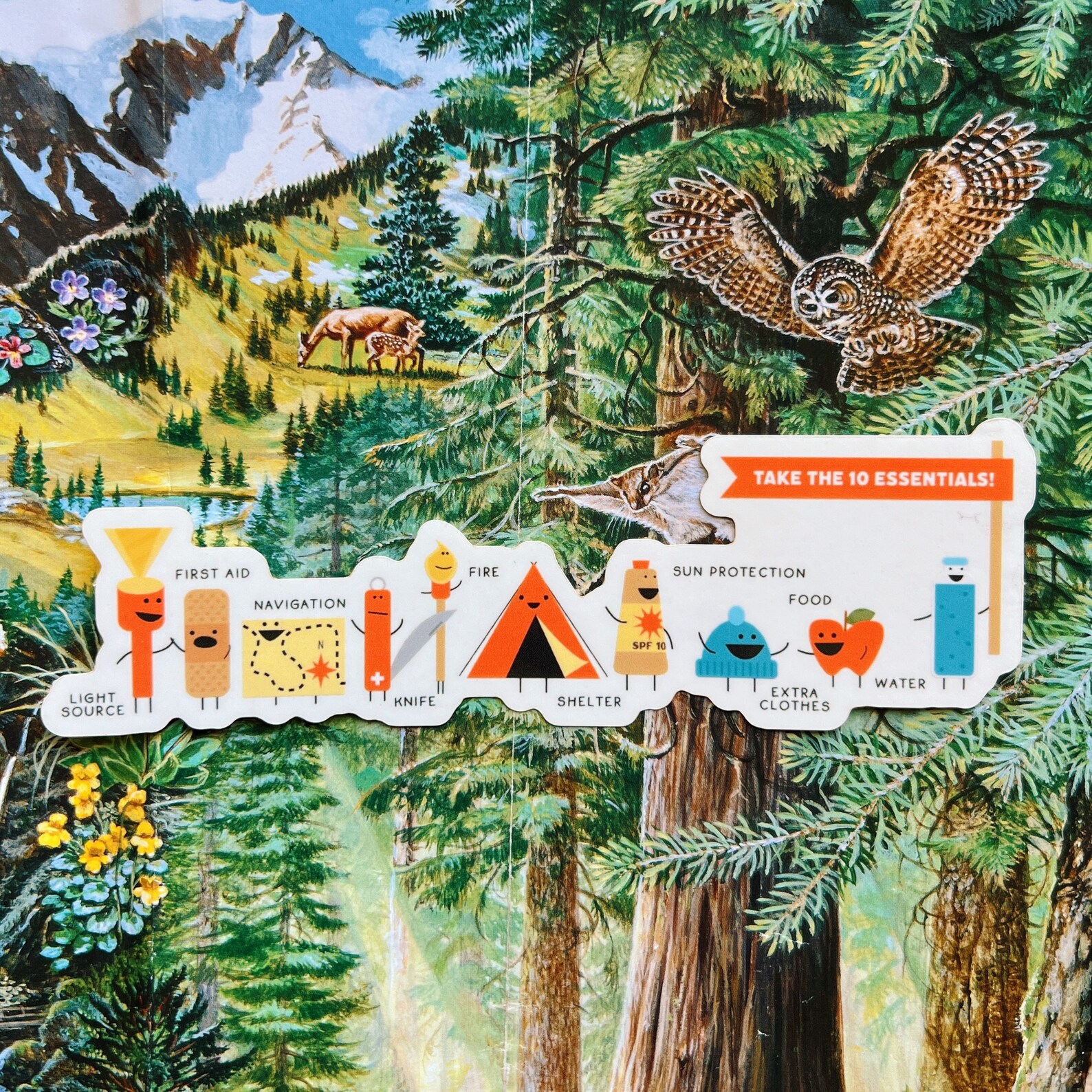 The 10 Essentials Sticker - Perfect for Camping, Hiking & Outdoor ...