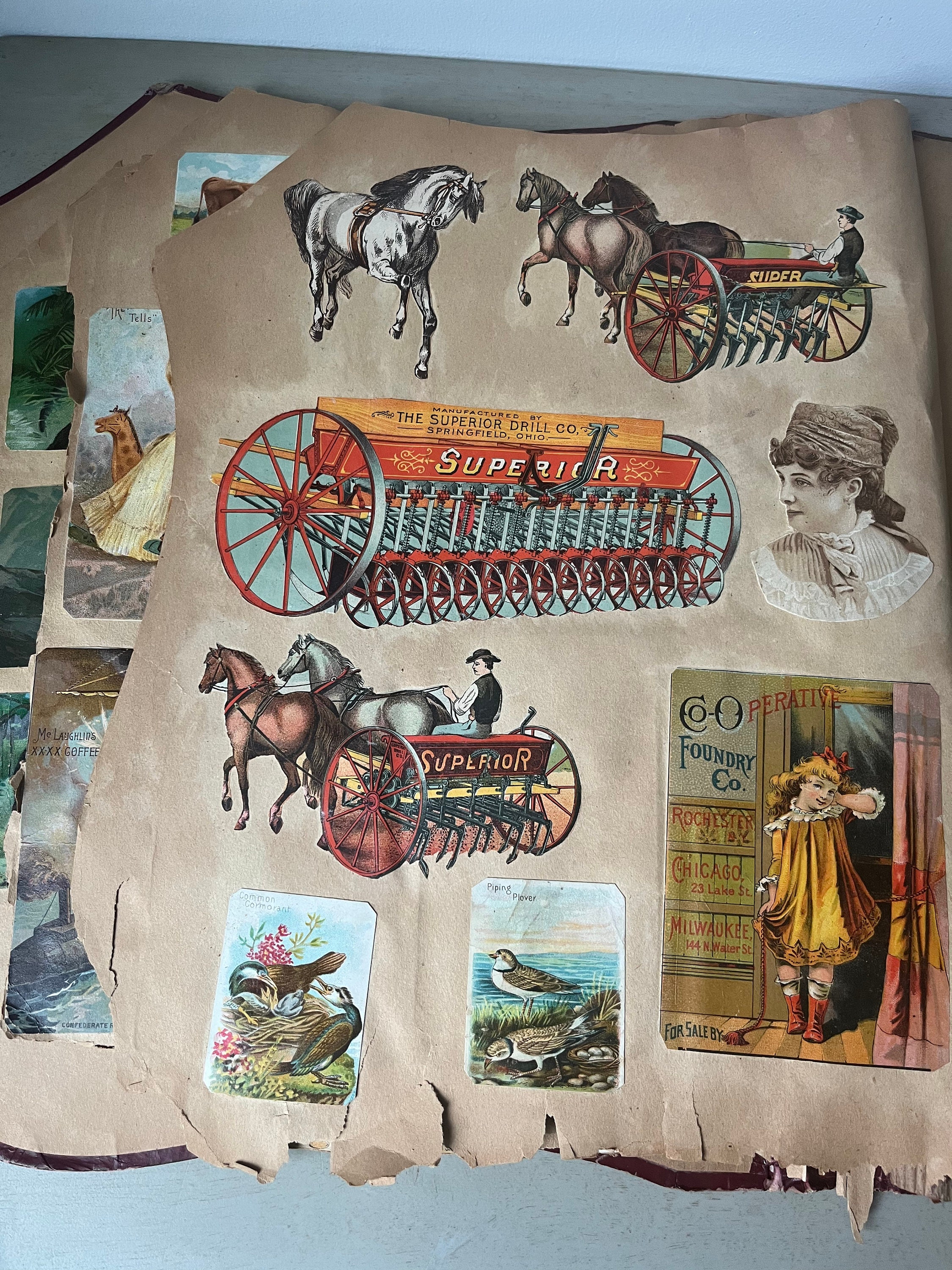 Victorian Trade Cards Scrapbook - Etsy