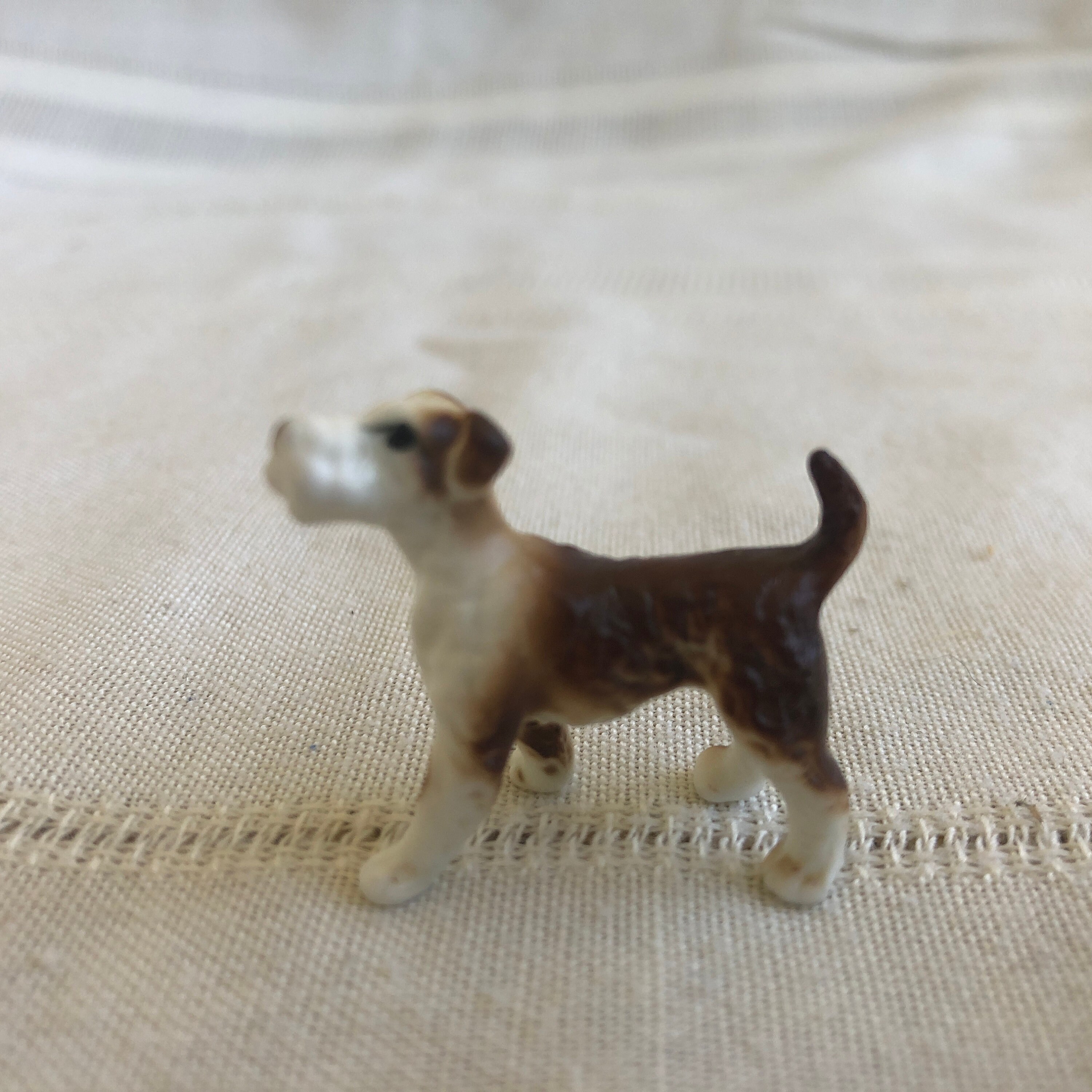 BONE China MINIATURE TERRIER Dogs, Boston Fox Jack Russell Terriers ...