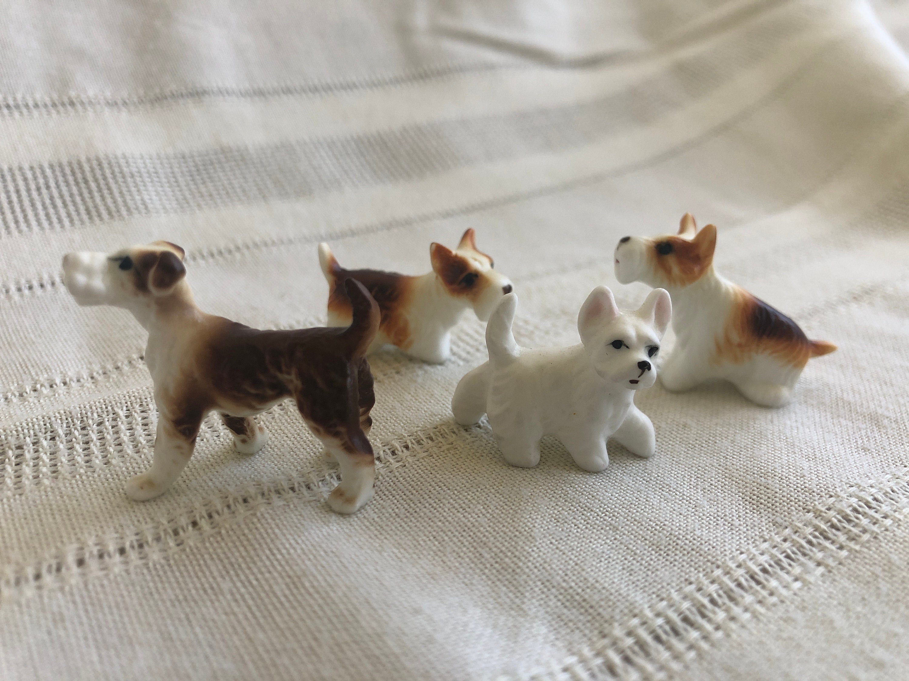 BONE China MINIATURE TERRIER Dogs, Boston Fox Jack Russell Terriers ...