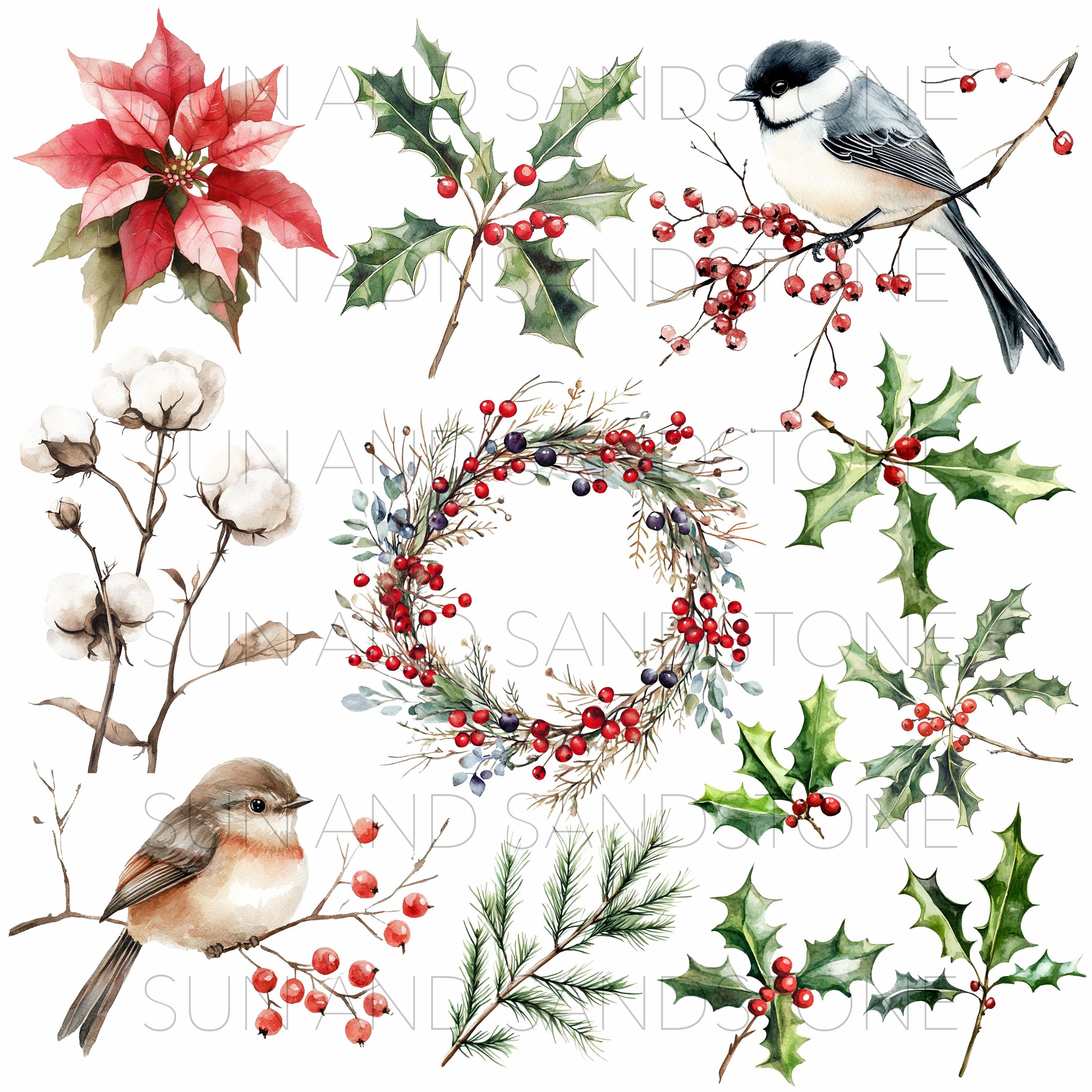 Watercolor Winter Clipart - Watercolor Winter Greenery - Winter Forest ...