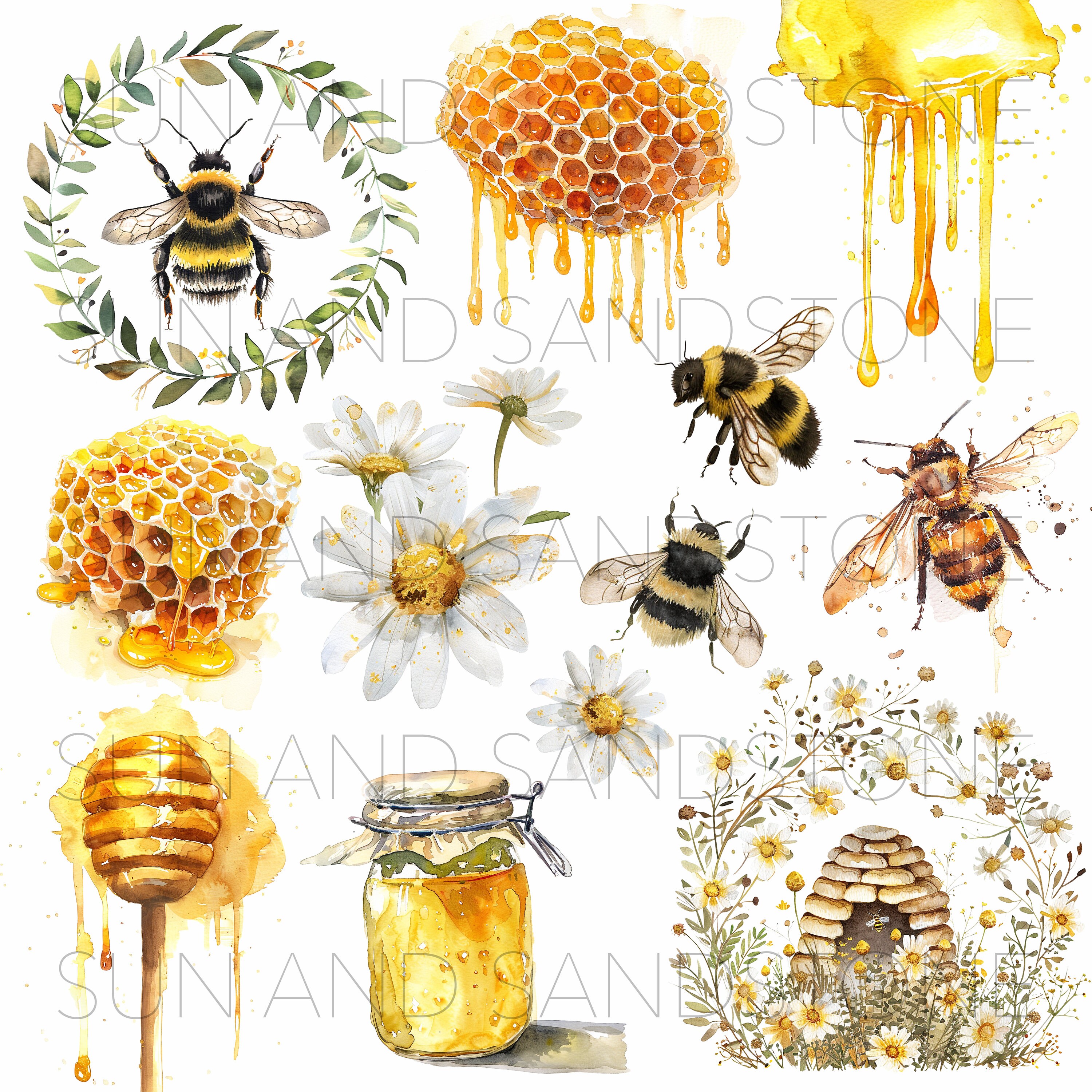 Watercolor Bee Clipart, Watercolor Honey Clipart, Honeycomb Clipart ...