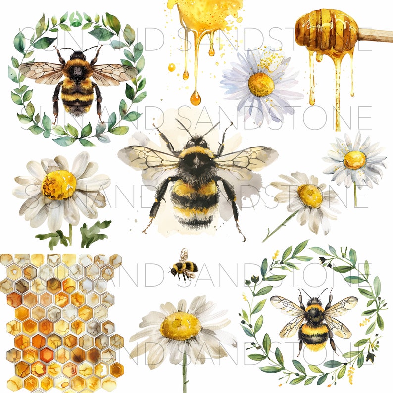 Watercolor Bee Clipart, Watercolor Honey Clipart, Honeycomb Clipart ...