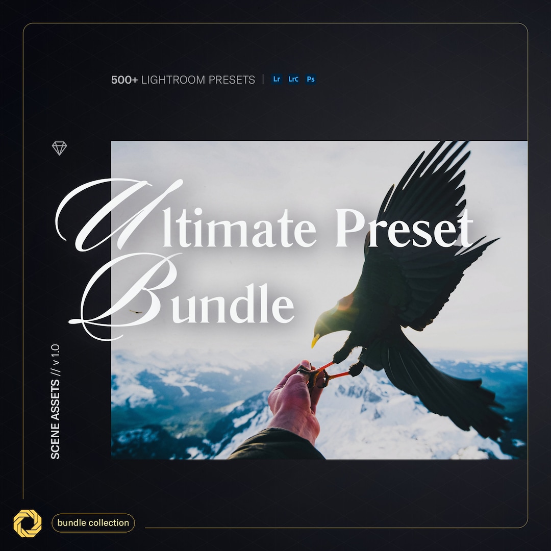 Ultimate Preset Bundle - Etsy