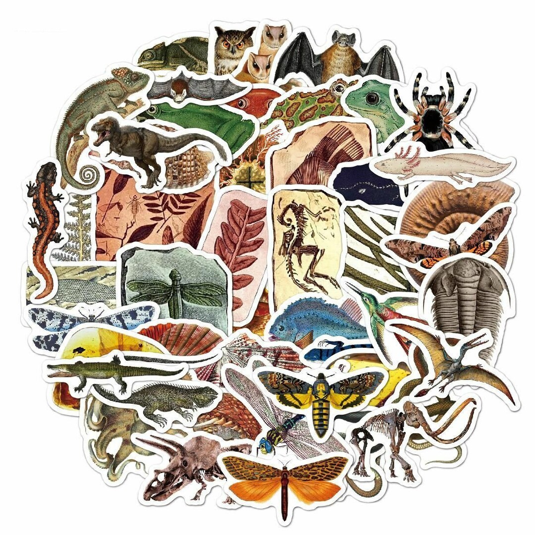 50pcs Retro Animals Dinosaur Fossil Stickers Pack Reptiles Insects ...