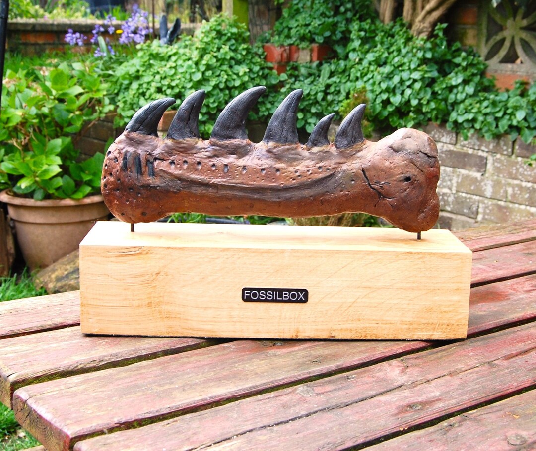 Large Replica T-rex Jaw - Etsy