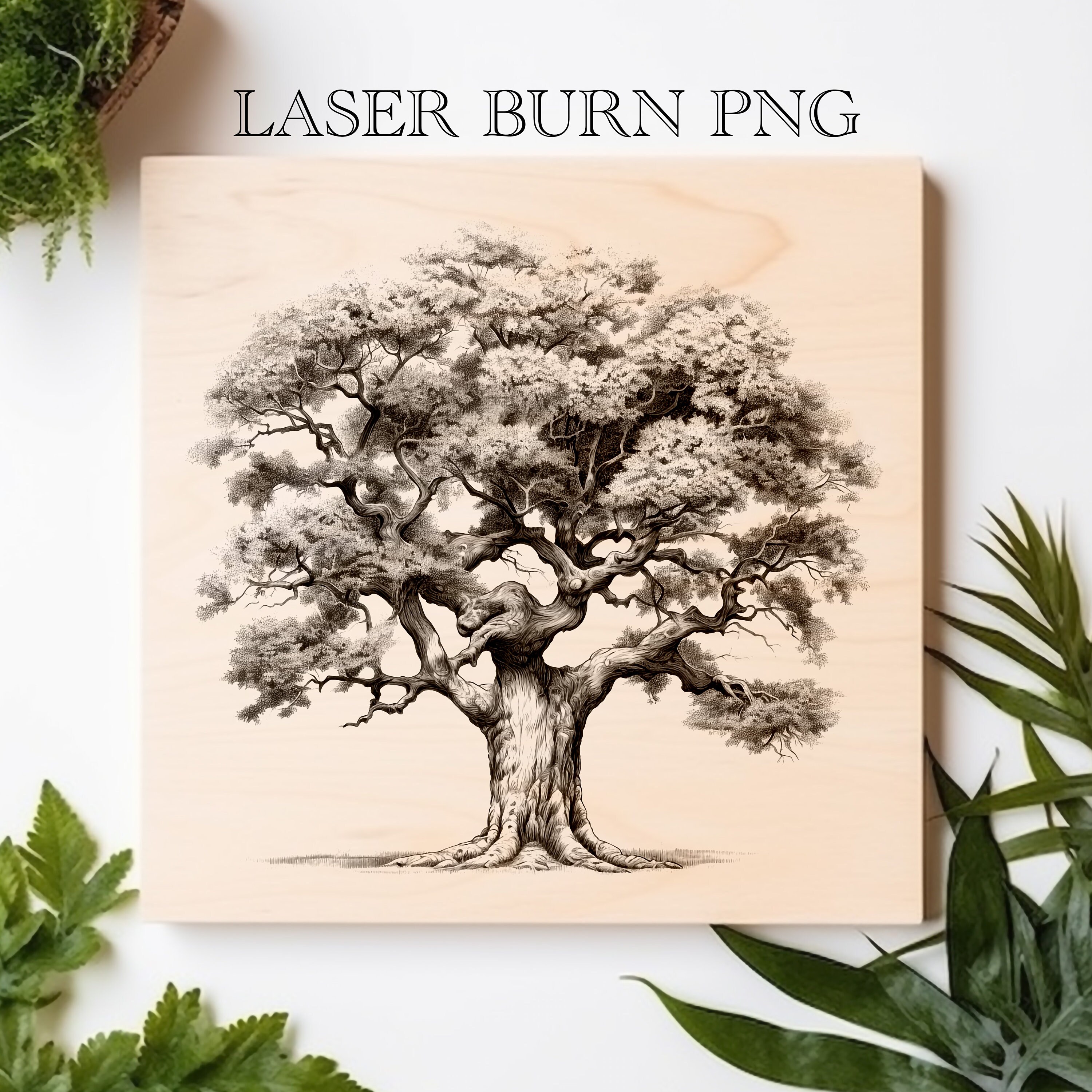 Laser Burn PNG | Engrave | Laser Ready | Lightburn File | Digital ...