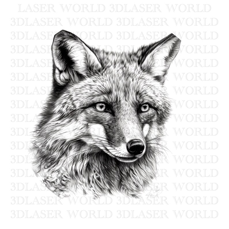 Laser Burn PNG | Engrave | Laser Ready | Lightburn File | Digital ...