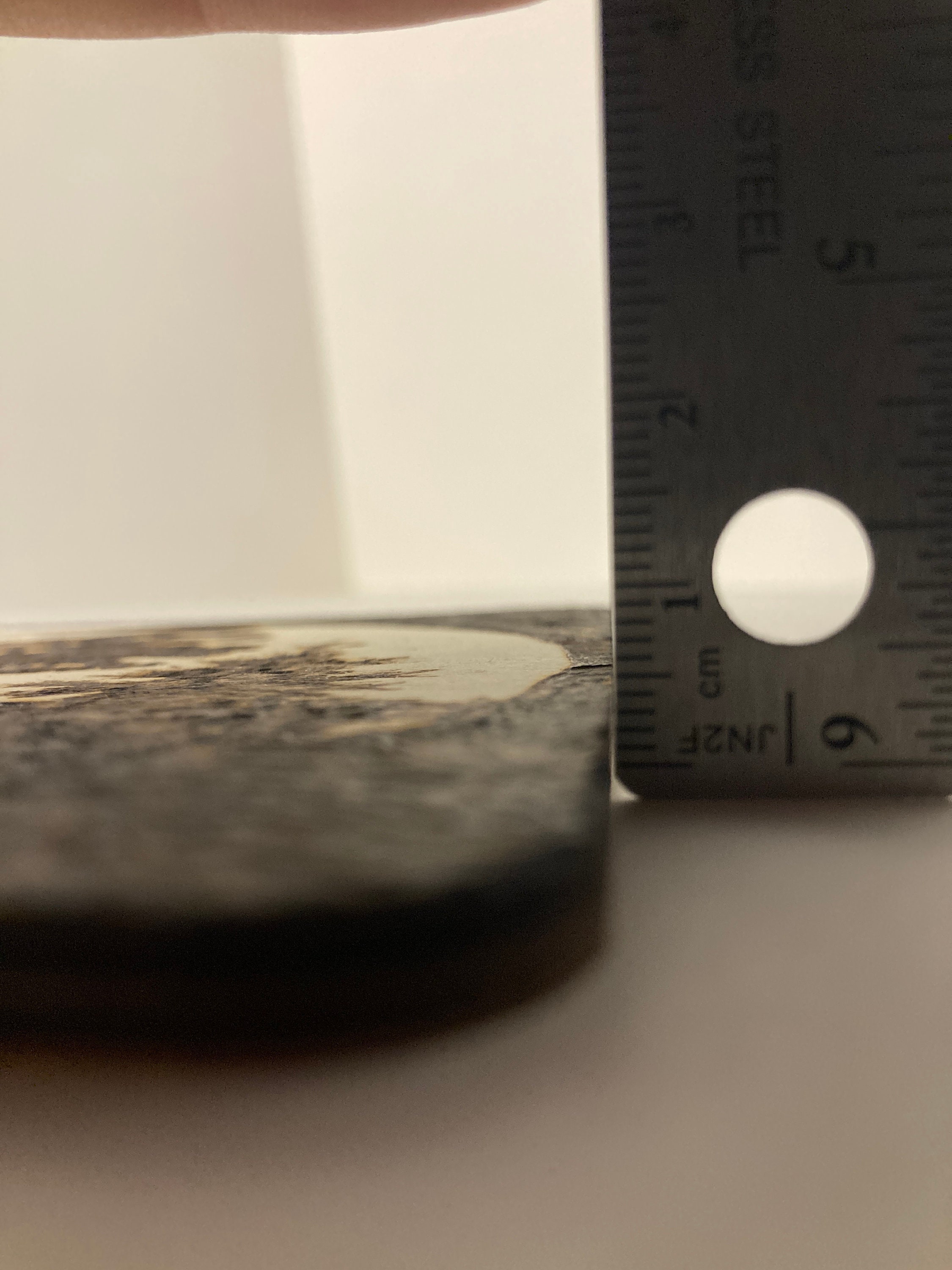 Pyrography Hand Burned Deer Nature Scene - Etsy