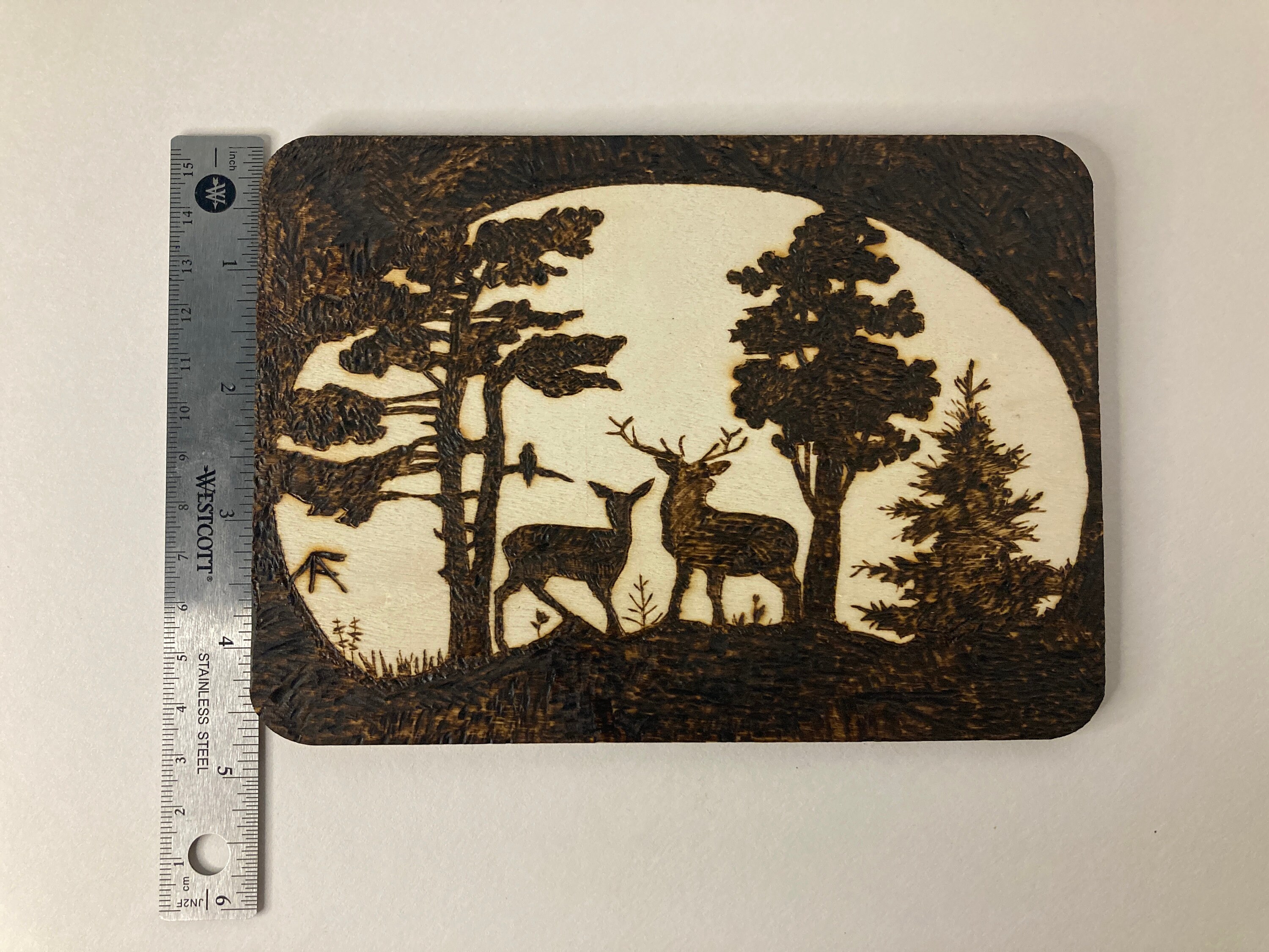 Pyrography Hand Burned Deer Nature Scene - Etsy
