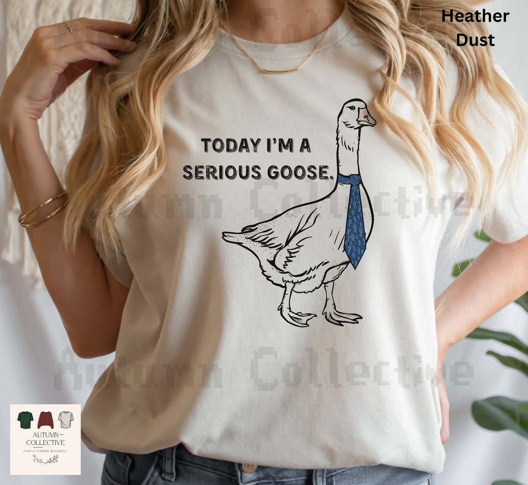 Today I'm a Serious Goose Tshirt, Gift for Him or Her, Satire, What's ...