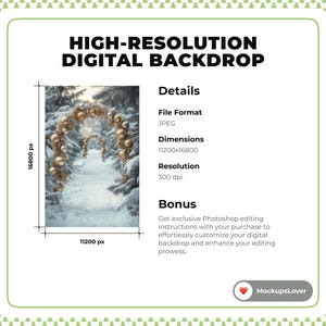 Christmas Arch on Snow Forest Background, Winter Wonderland Digital ...