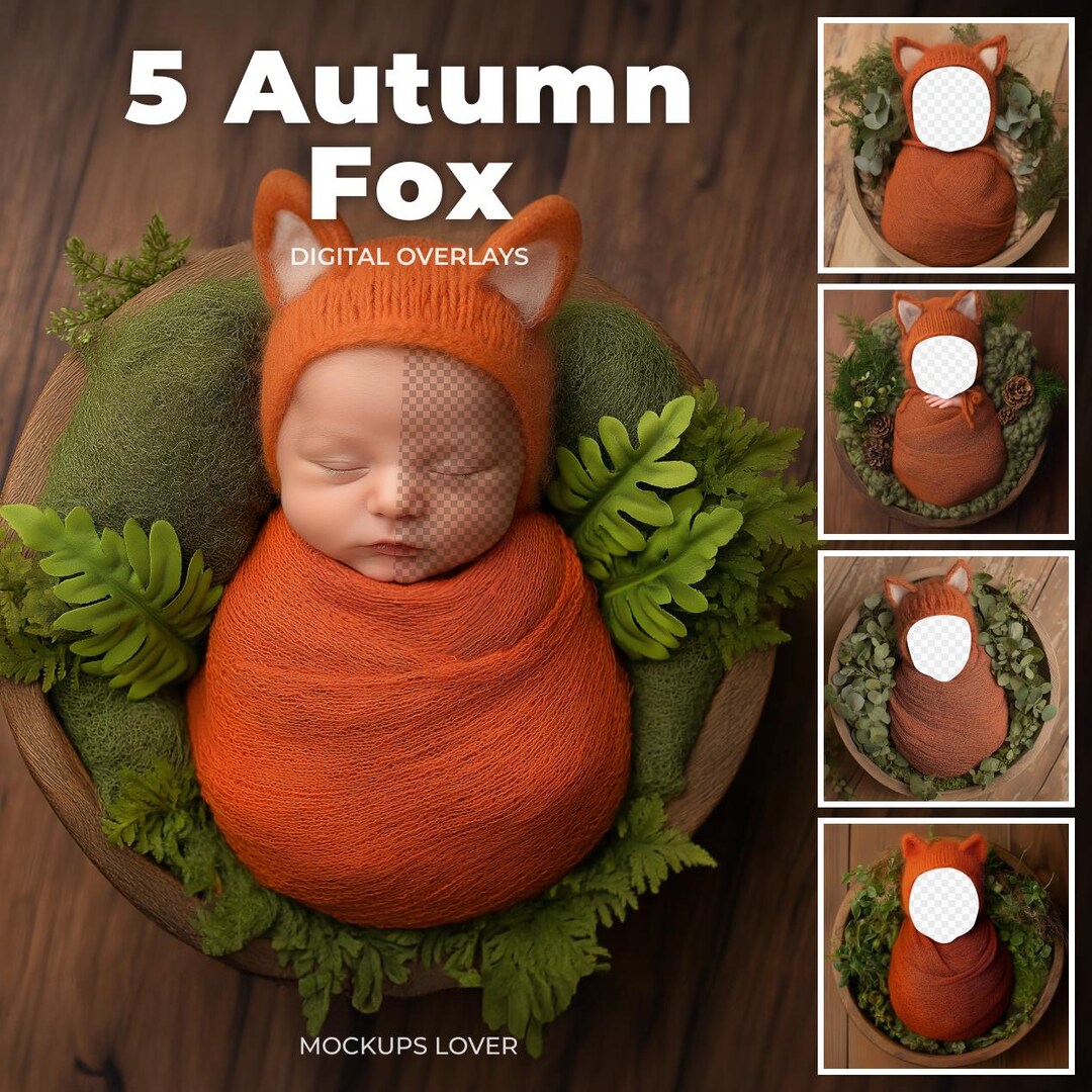 Fall Newborn Digital Backdrop Face Insert, Autumn Newborn Baby Fox ...