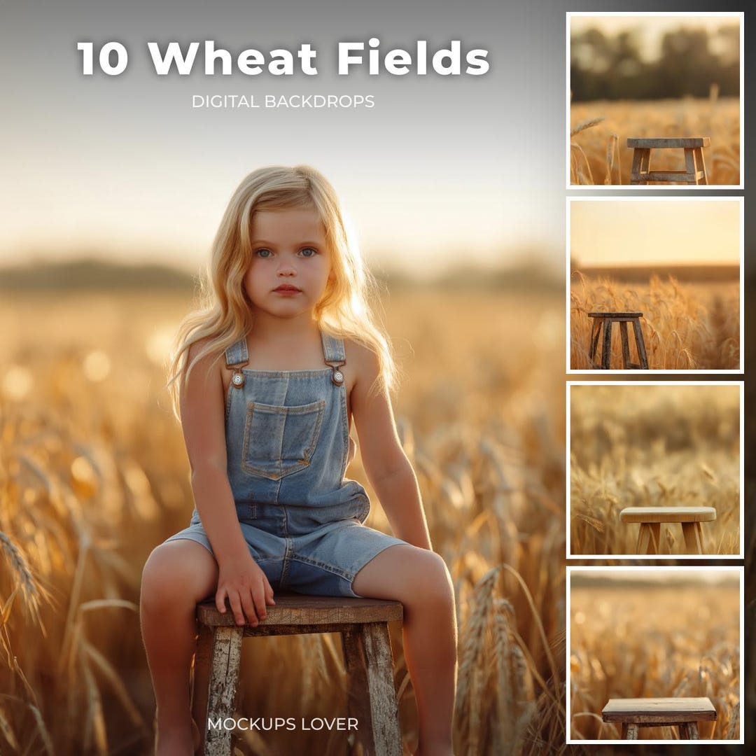 Wheat Field Digital Backdrops, Autumn Fall Background, Portrait ...