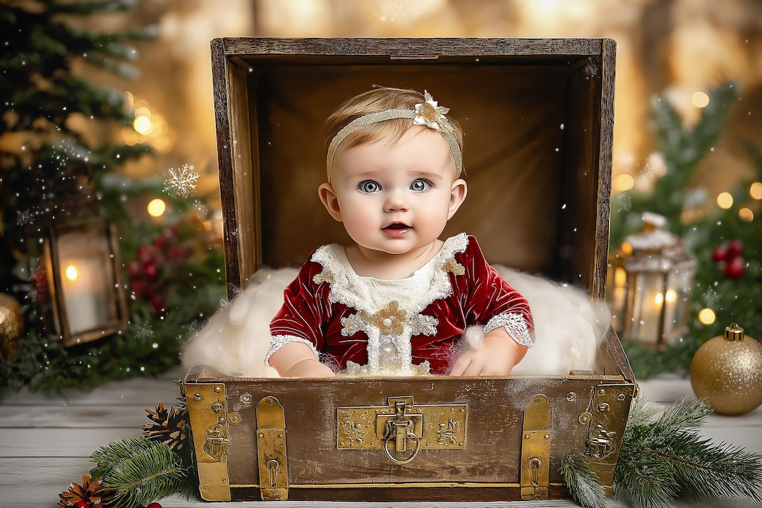 Christmas Newborn Digital Background, Baby & Pets Christmas Photography ...