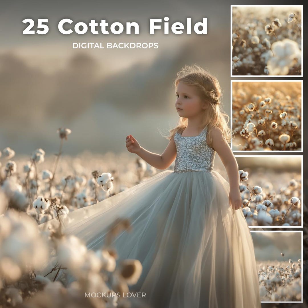Cotton Field Digital Backdrops, Sunset Field Digital Background ...