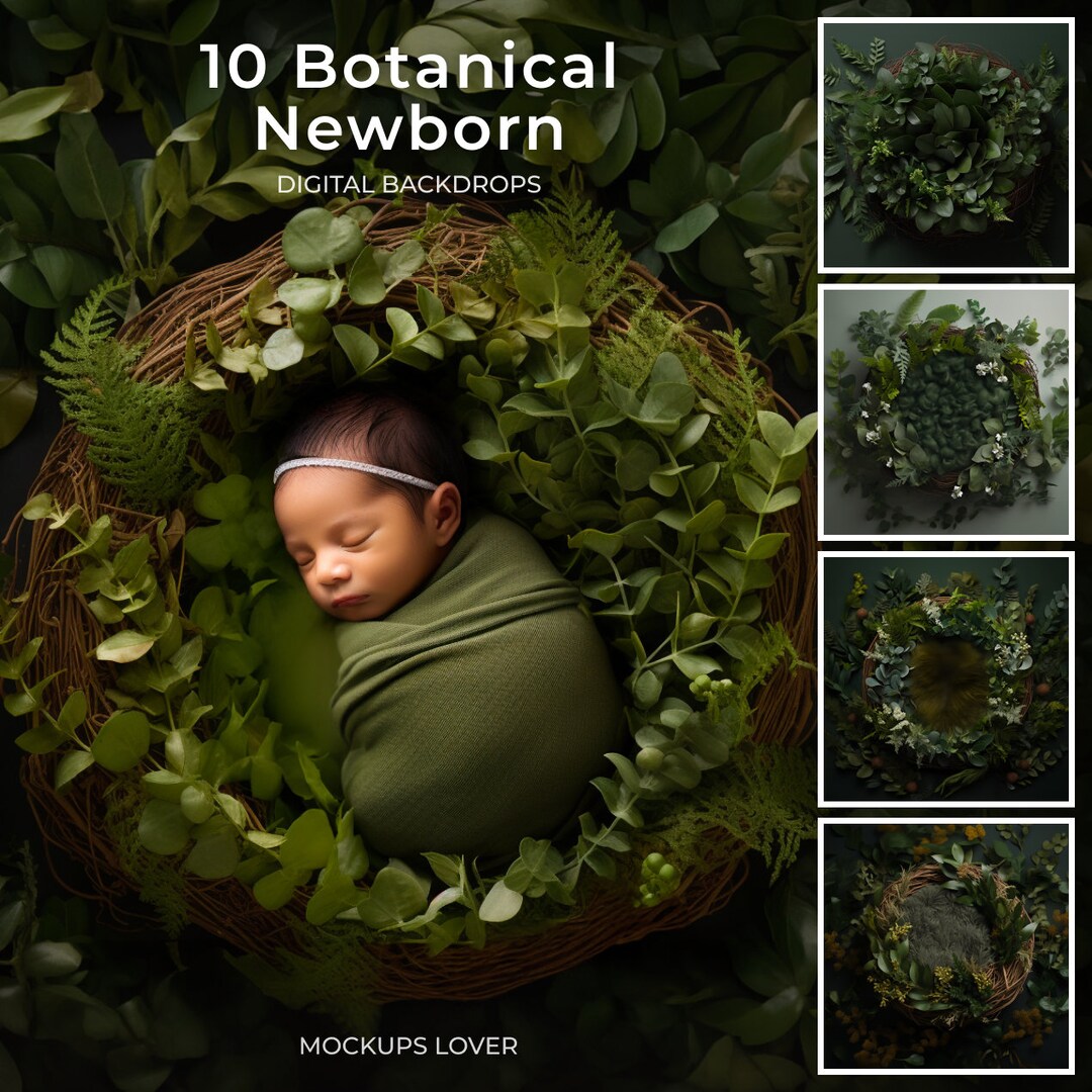10 Newborn Digital Backdrops, Nature Digital Backgrounds, Fern Wreath ...