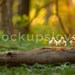 Spring Digital Background Photography, Easter Digital Backdrop ...