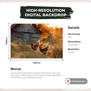 40 Farm Animals Digital Backgrounds, Photography Digital Backdrops ...