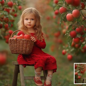 6 Apple Orchard Digital Background, Photography Composite, Fall Path ...