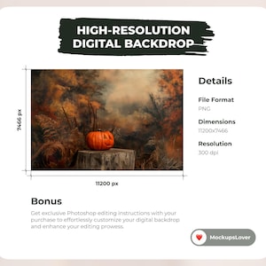 10 Fall Digital Photography Digital Background With Pumpkins, Autumn ...