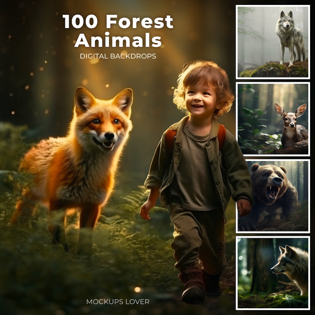 100 Forest Animal Digital CG Backdrops, Fairy Woodland Animal ...