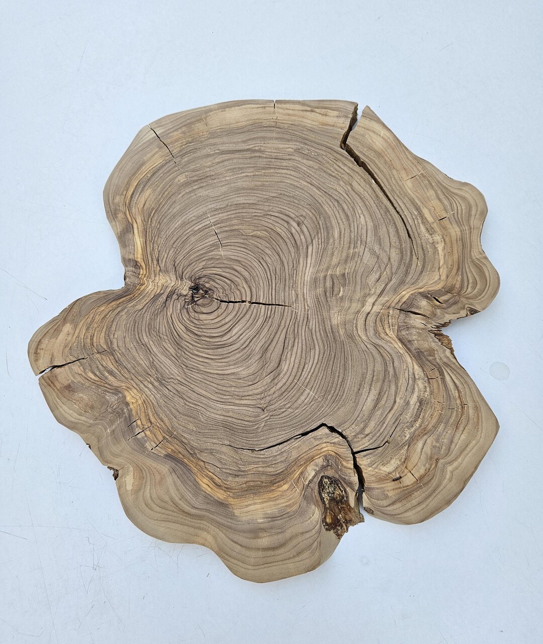 Olive Wood Slab for DIY, Live Edge Olive Tree Slice, Raw Edge Wood for ...