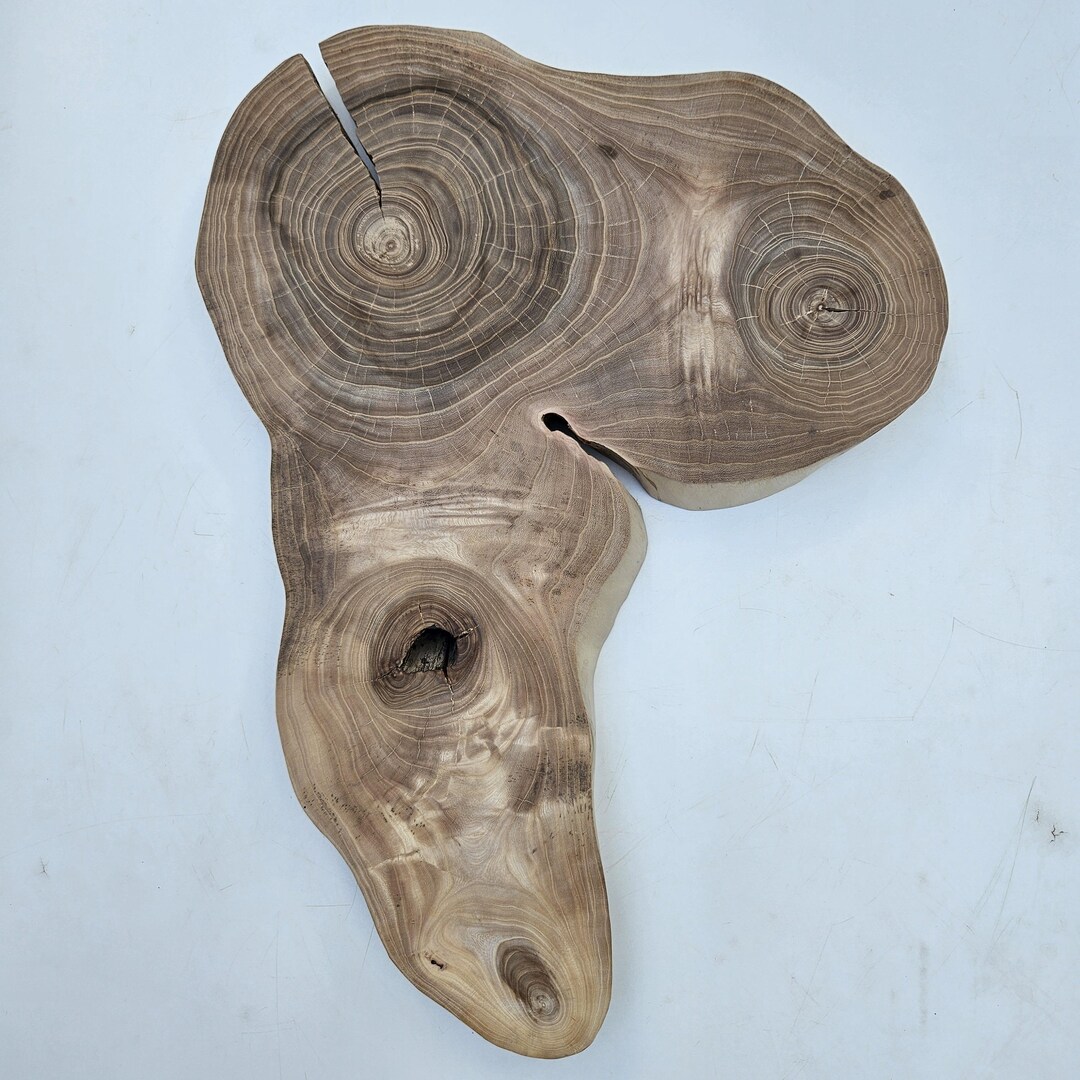 Elm Wood Slab for Woodworking, Live Edge Wood Slab for DIY, Raw Edge ...