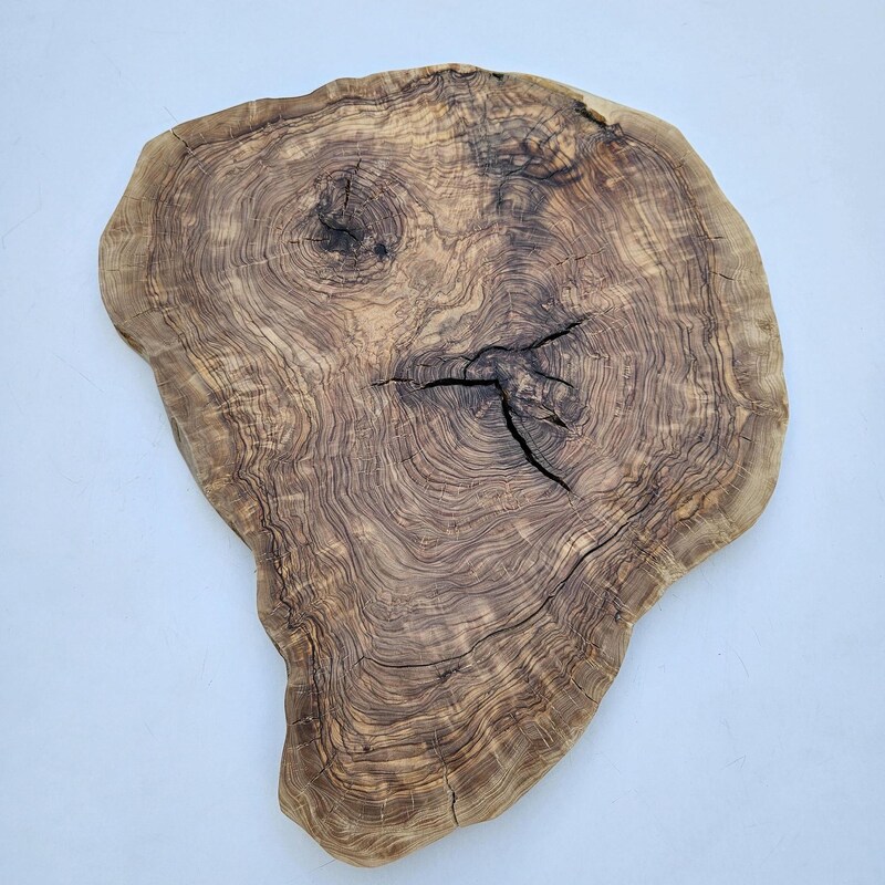 Tree Slab - Etsy