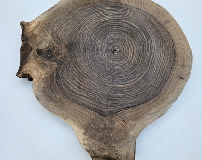 Natural Walnut Wood Slab for DIY, Unfinished Live Edge Wood for ...