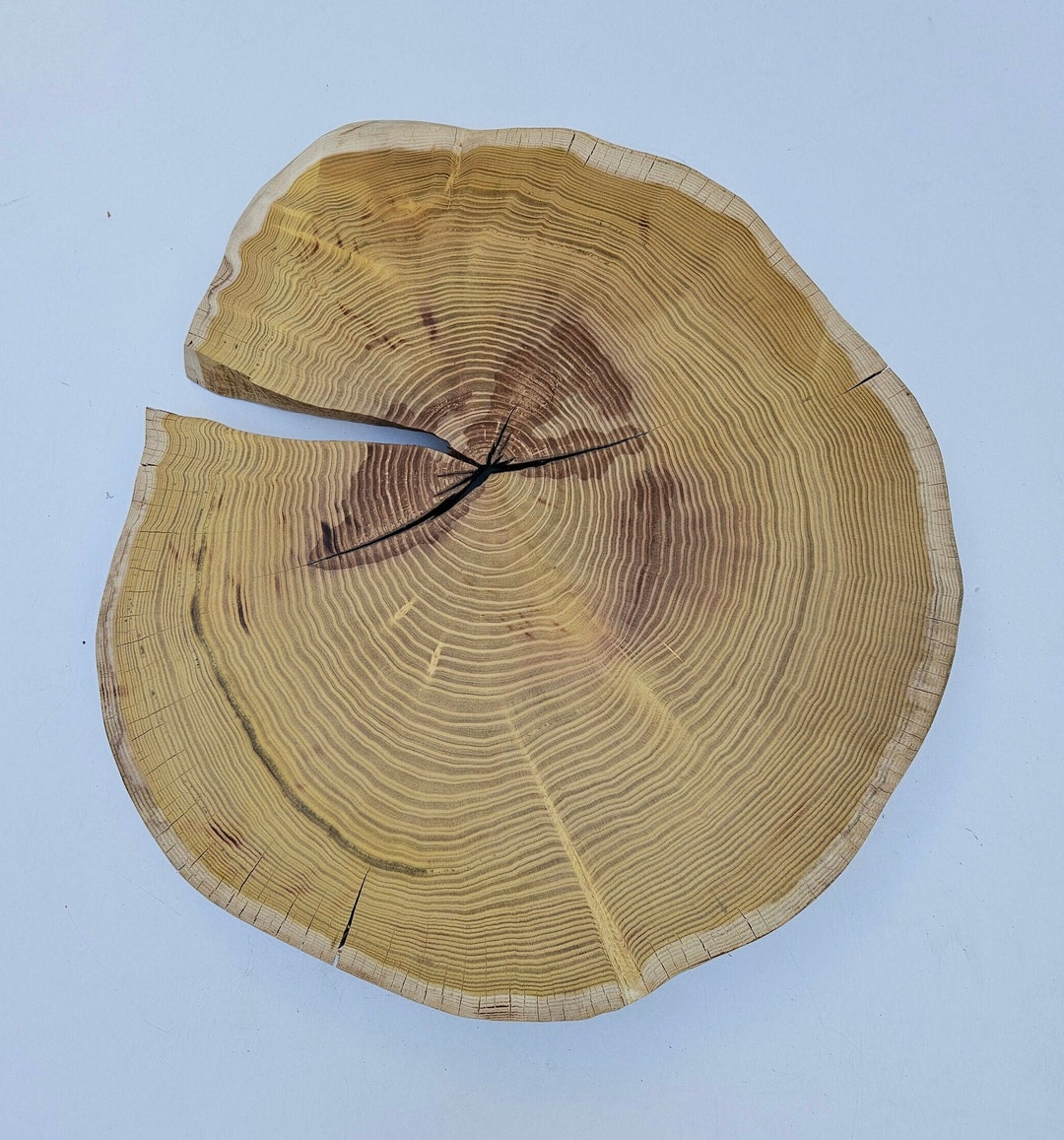25" /22.2" Live Edge Mulberry Wood Slab for Epoxy Coffee Table, Round ...